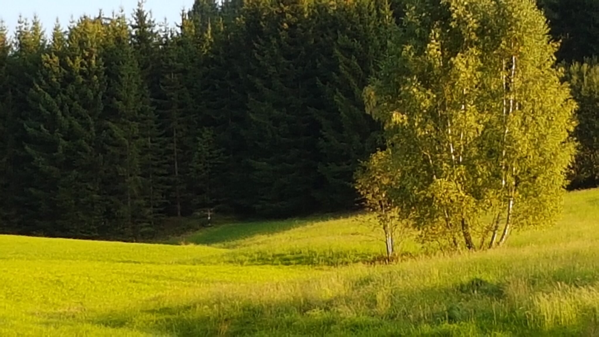 Mein Vater - Eine wahre Geschichte - Robert Edinger